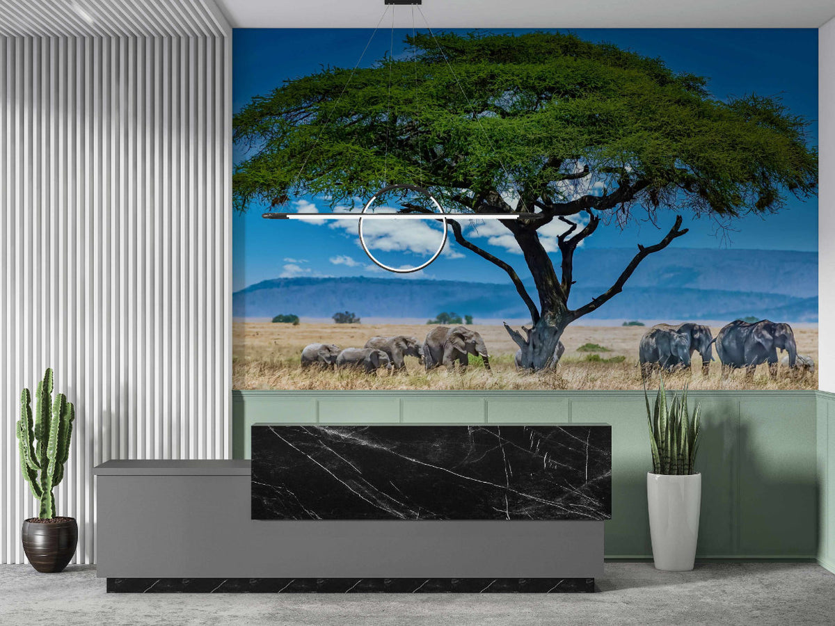 Genus Nature Wallpaper – LetraWalls