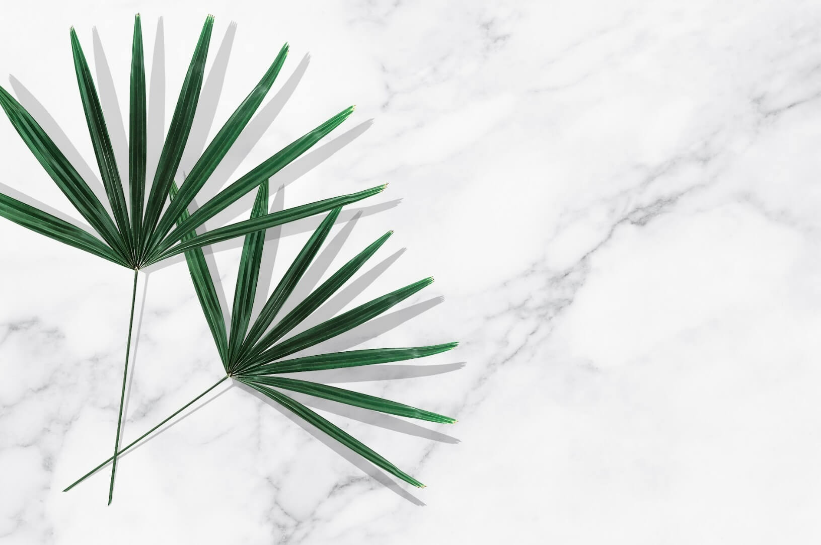 White Wallpaper – LetraWalls